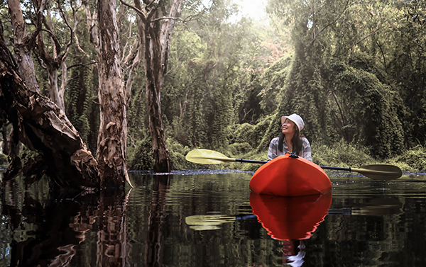 MCCS Yanbaru Mangrove Kayaking Tour