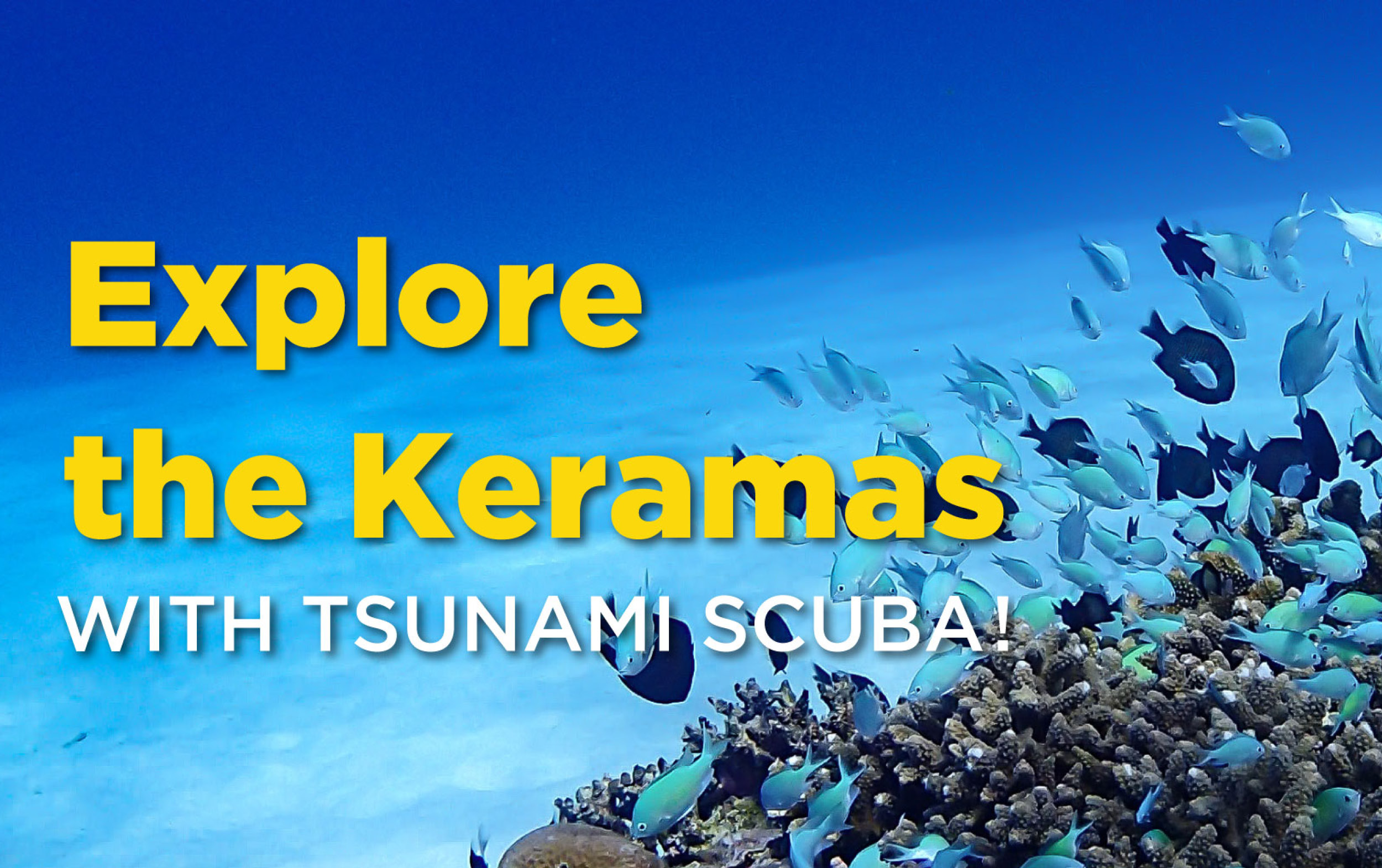 Okinawa | Destiny Kerama Charter