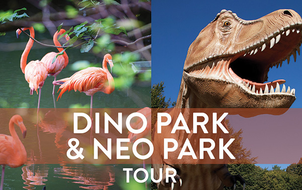MCCS Dino Park & Neo Park Tour