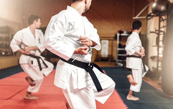 MCCS Setkudo Mixed Martial Arts (Adults)