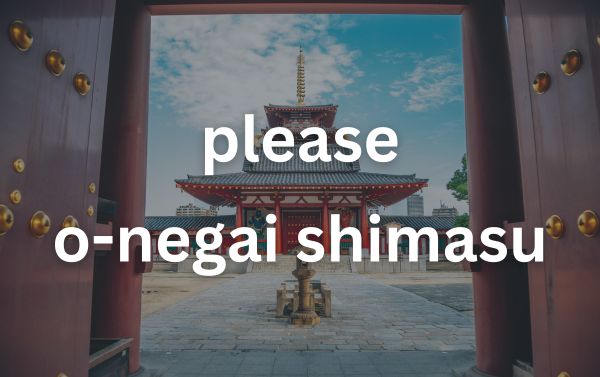 MCCS Survival Japanese Language